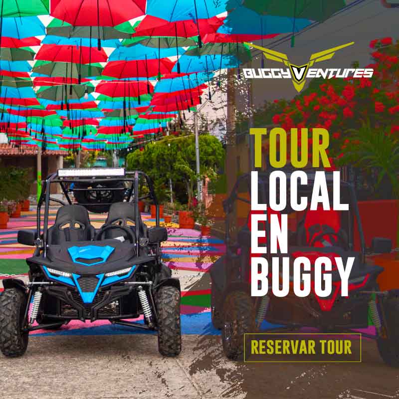 Tour Local - Buggyventures